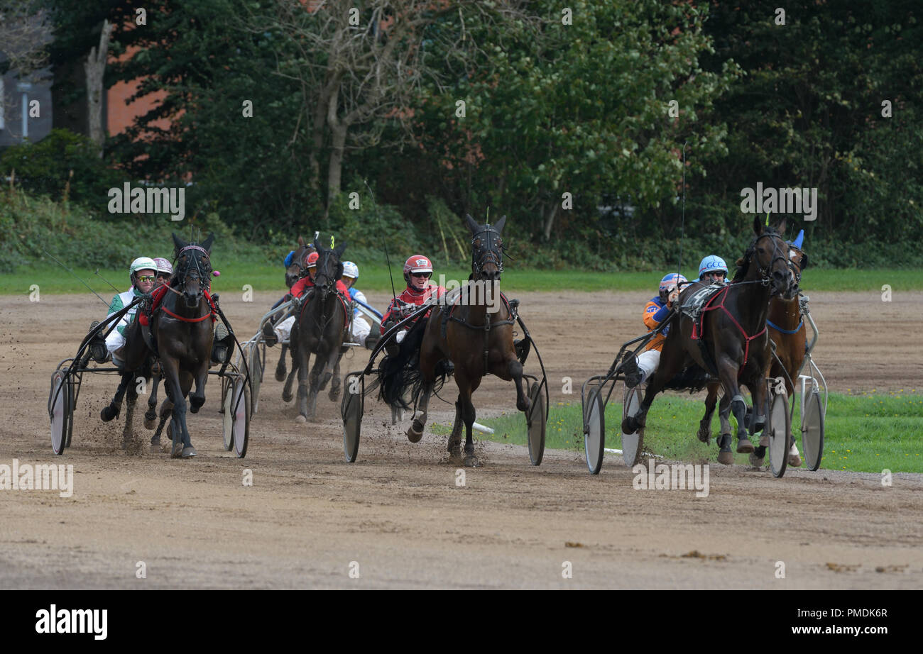 Harness racing for trotting horses, a horse race in which the horses ...