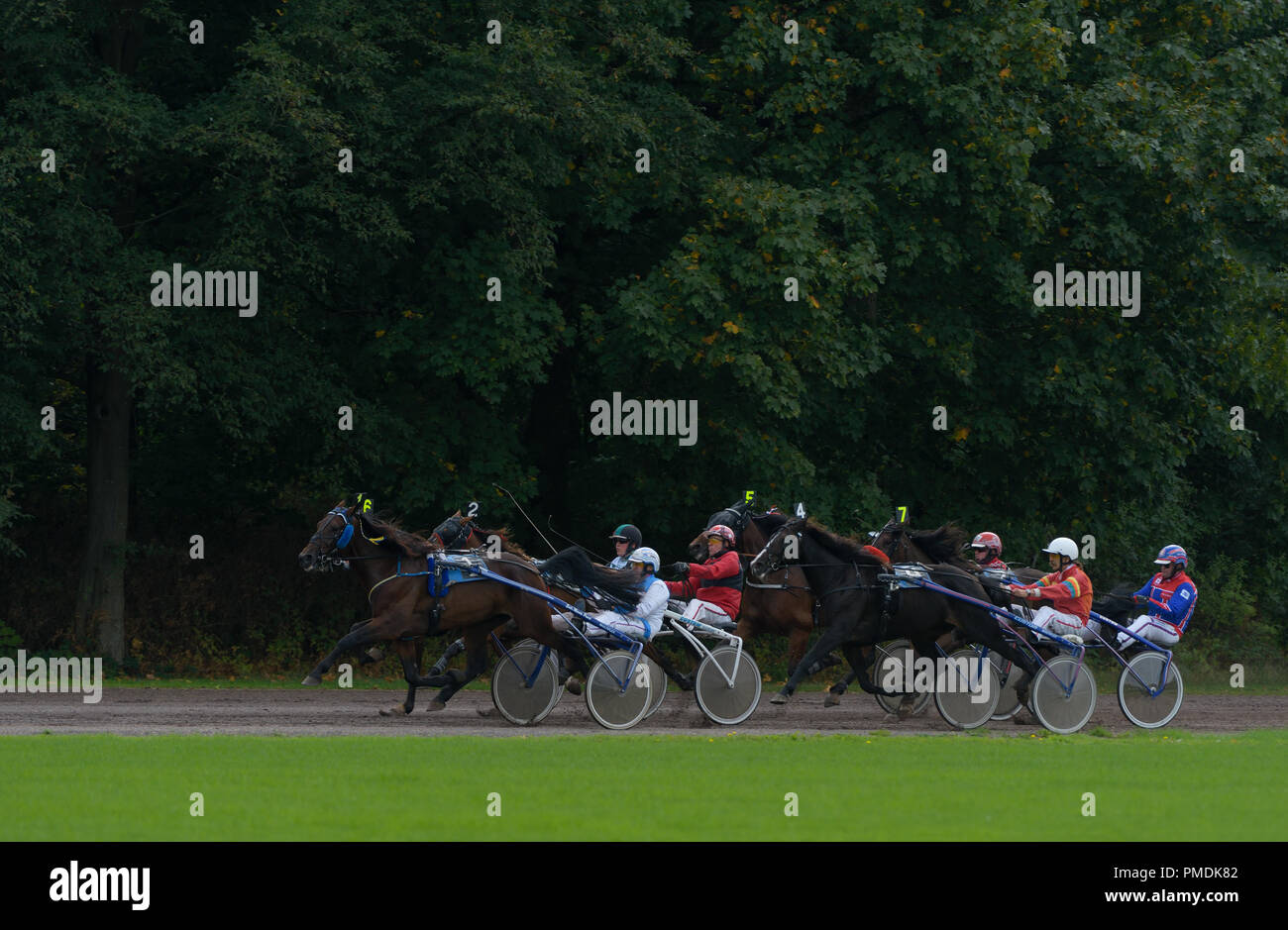 Harness racing for trotting horses, a horse race in which the horses ...