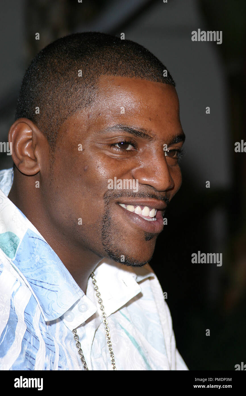 "Ray" Premiere Mekhi Phifer October 19, 2004 Photo by Joseph Martinez ...