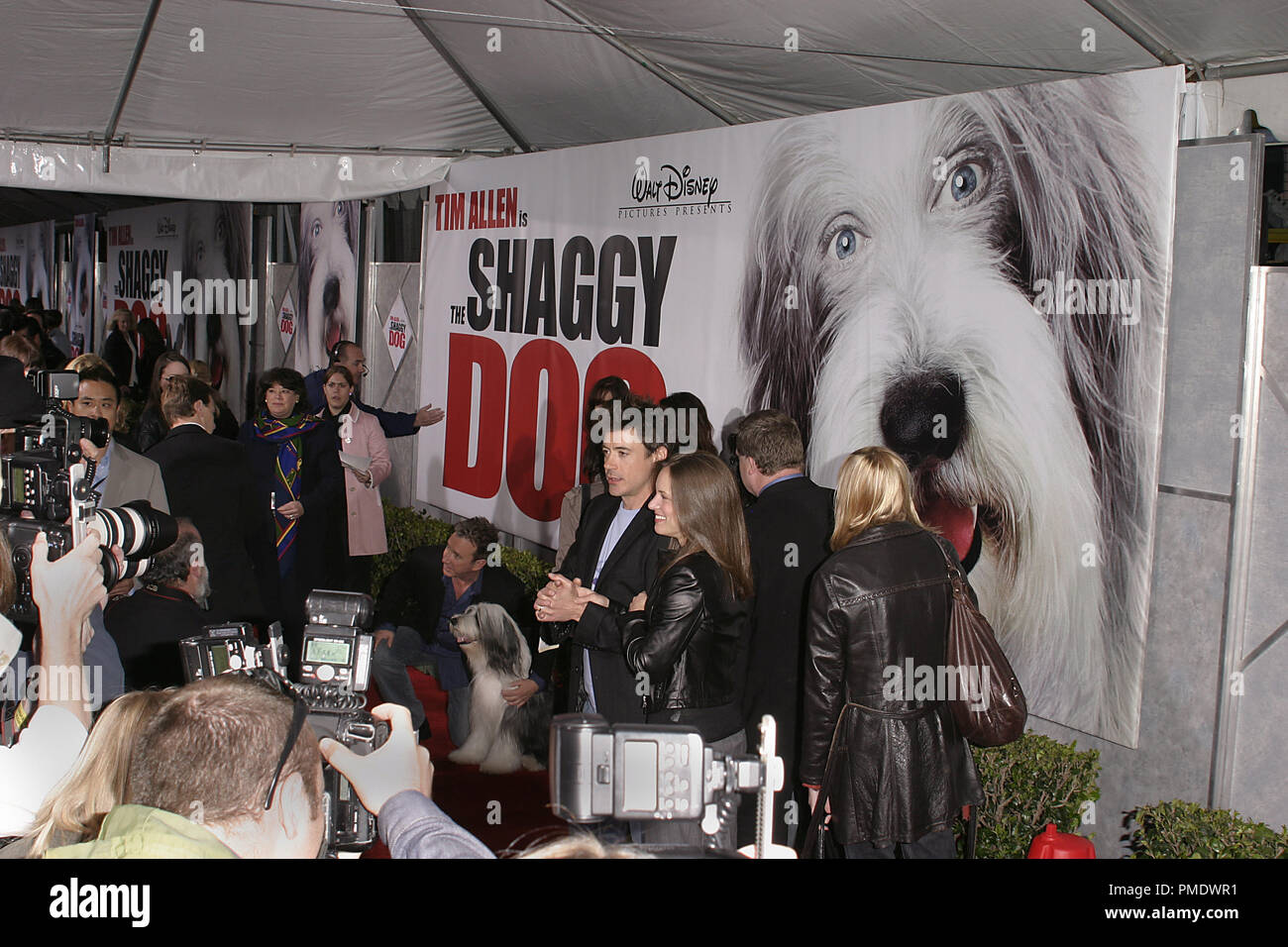 The Shaggy Dog 2022 Robert Downey Jr