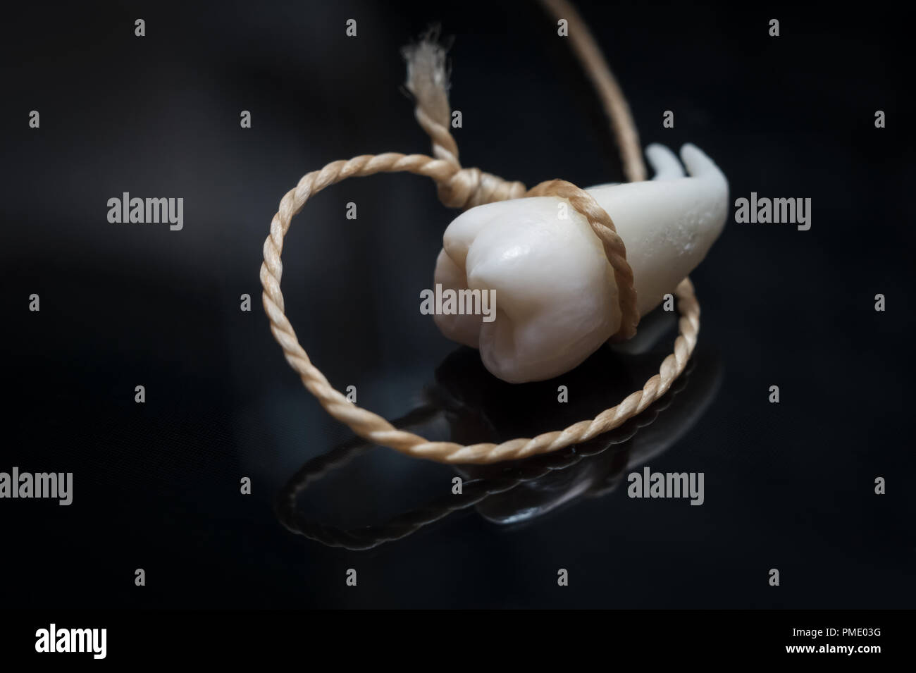 Baby teeth with roots hi-res stock photography and images - Alamy