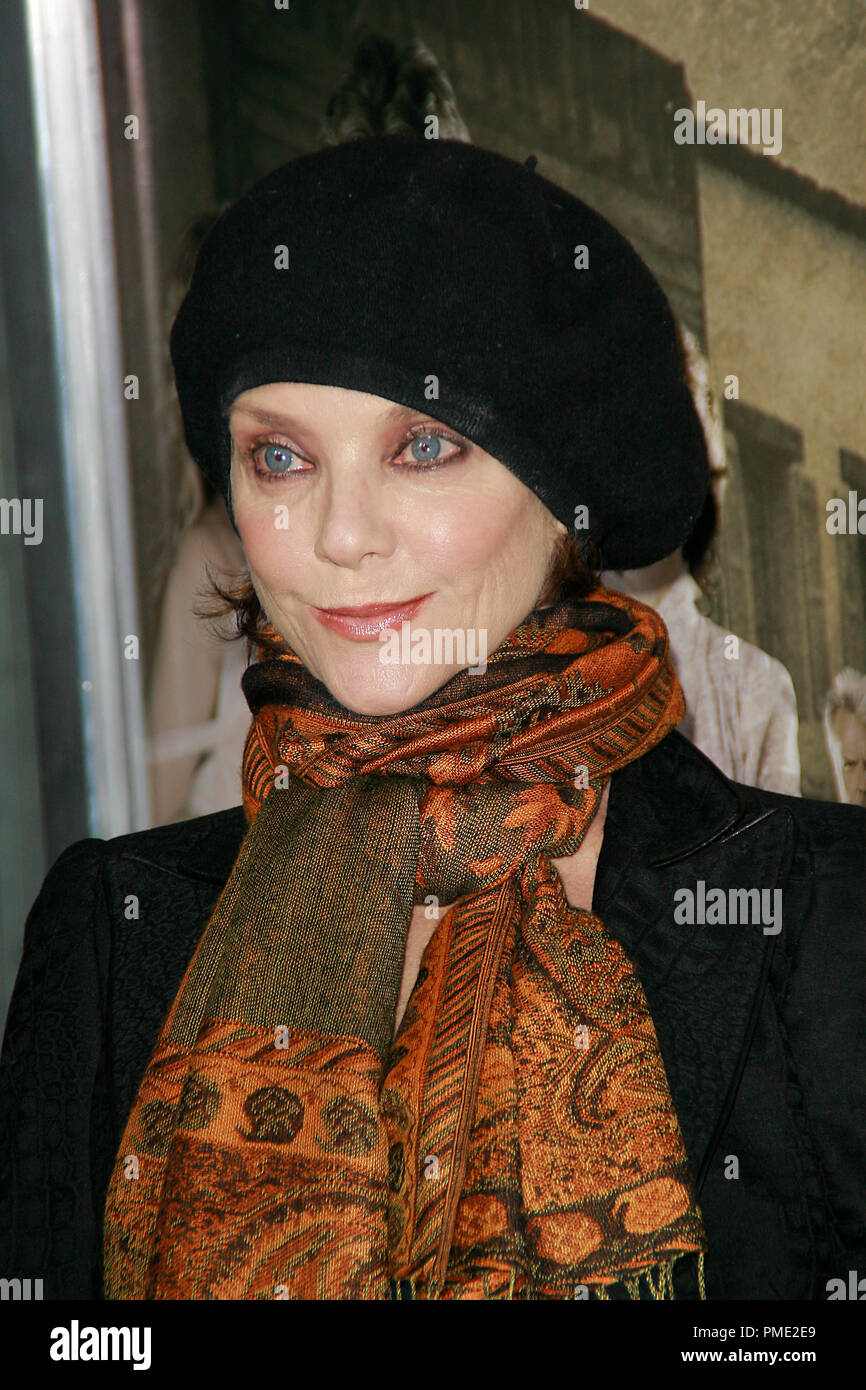 Judith Chapman 1966 Judith Chapman From 'The Fall Guy' Is 70 And