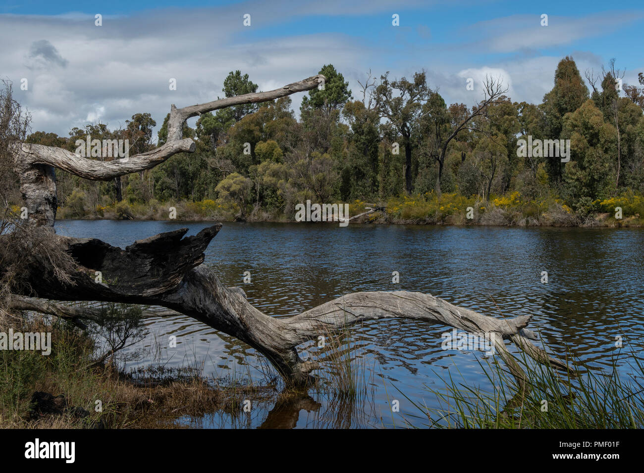 Amazing pool hi-res stock photography and images - Alamy