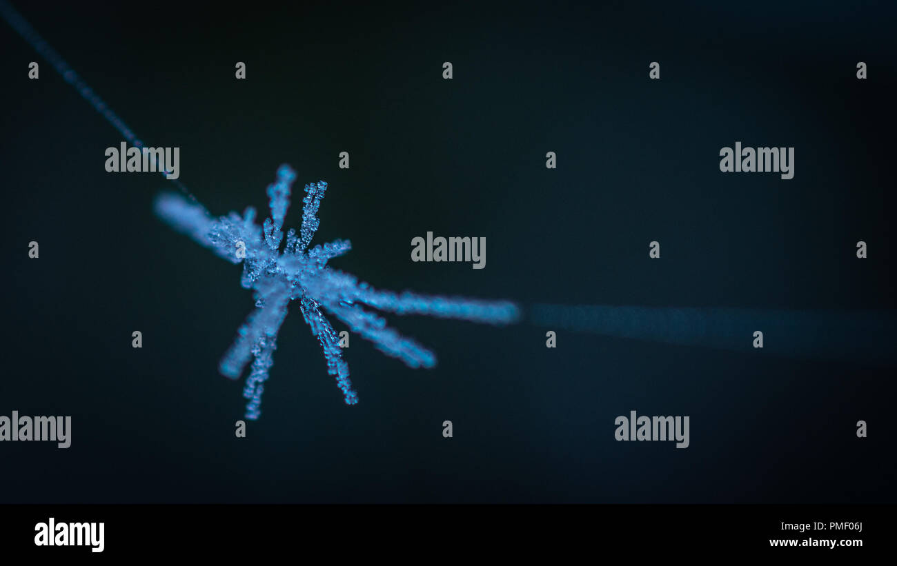 Crystal spider web hi-res stock photography and images - Alamy