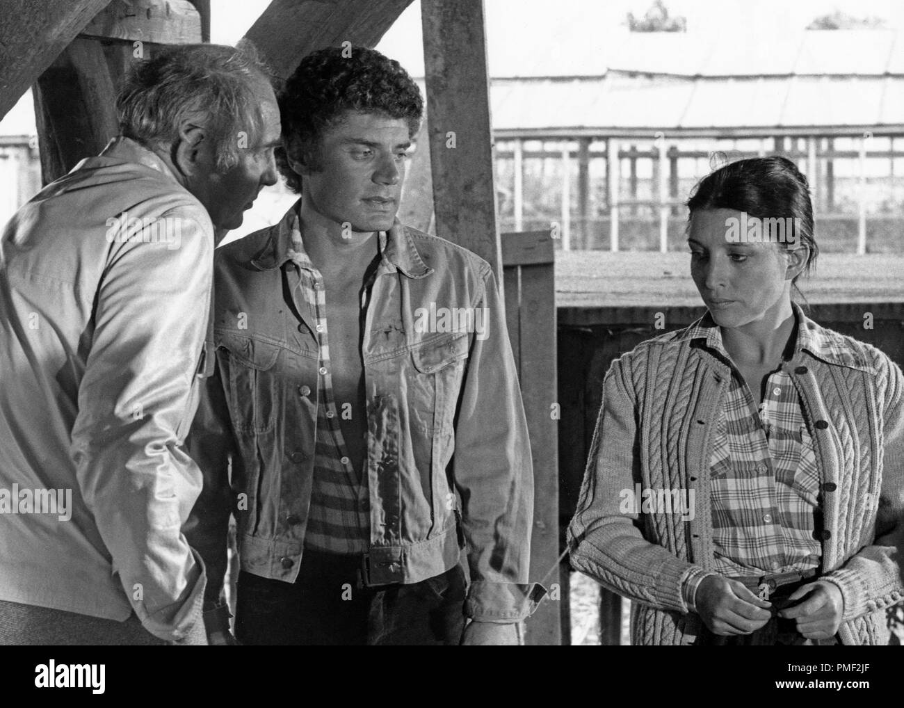 Sonderdezernat K1, Krimiserie, Deutschland 1972 - 1982, Folge: Tod ...