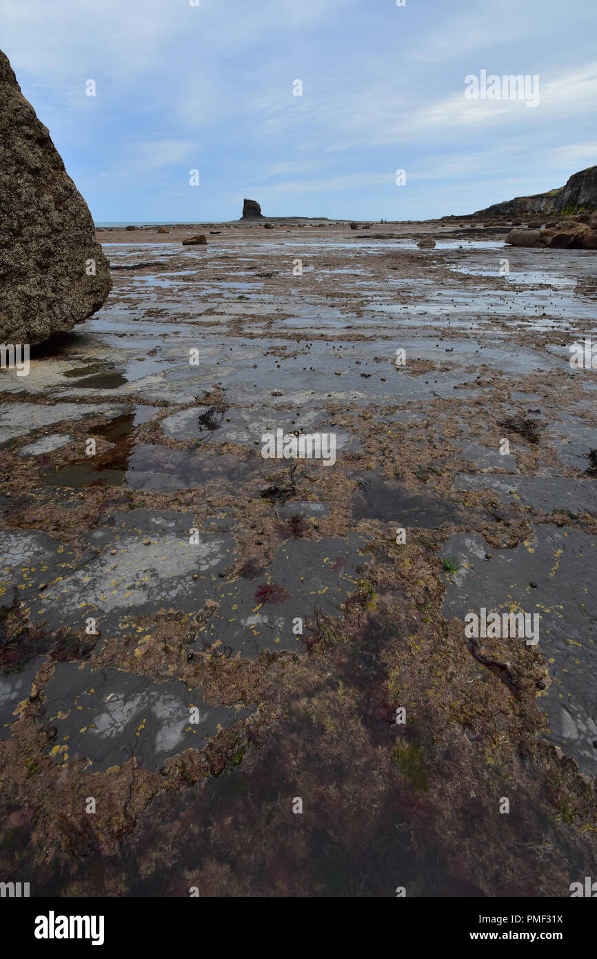 Black shale cliffs hi-res stock photography and images - Alamy