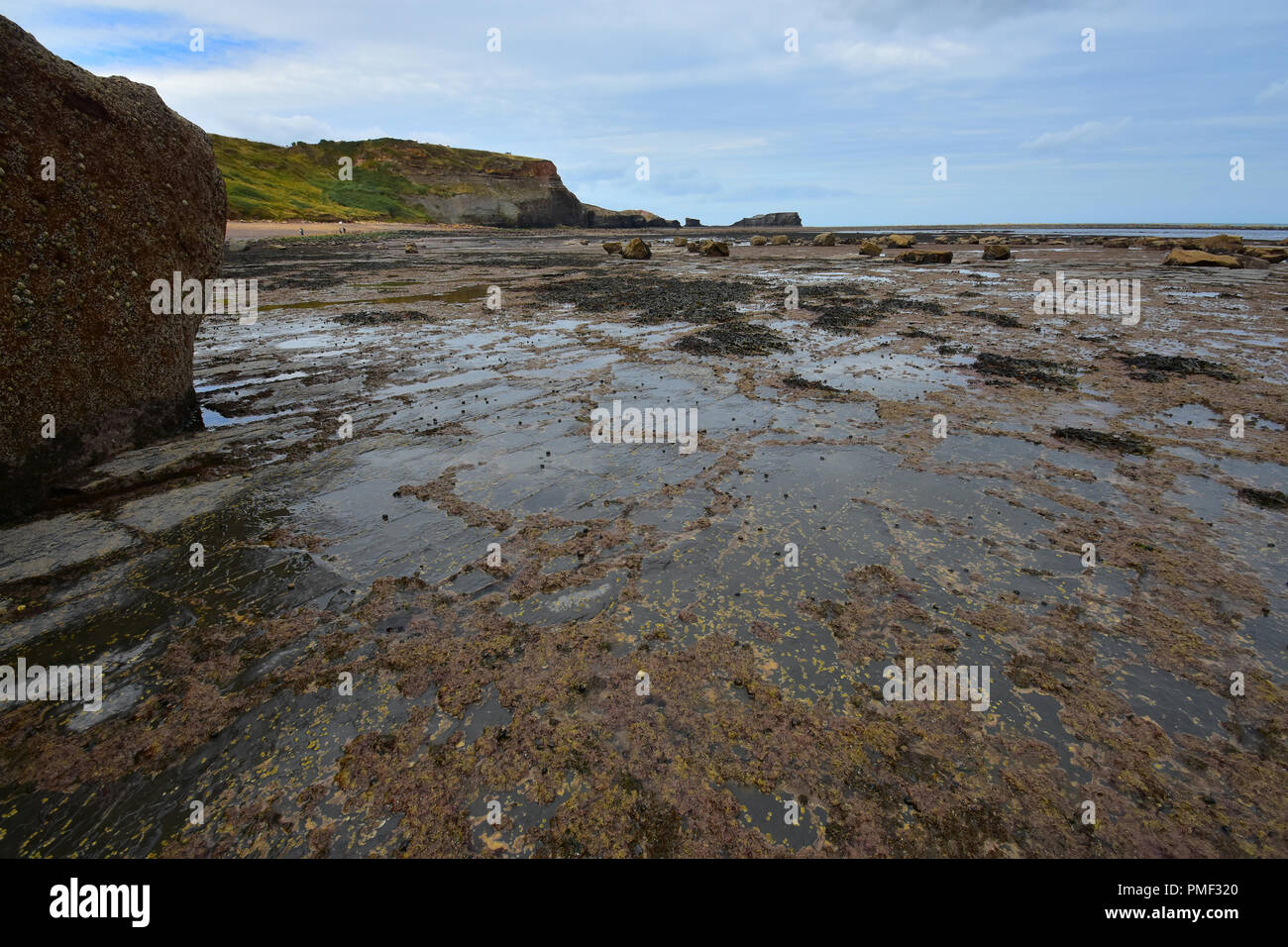 Saltwick bay fossils hi-res stock photography and images - Alamy