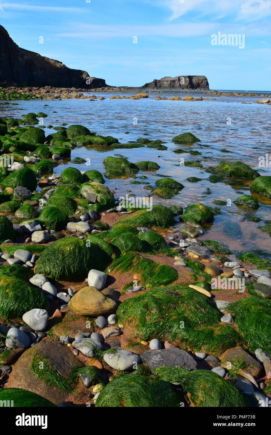 Saltwick Bay, North Yorkshire Moors, England UK Stock Photo - Alamy
