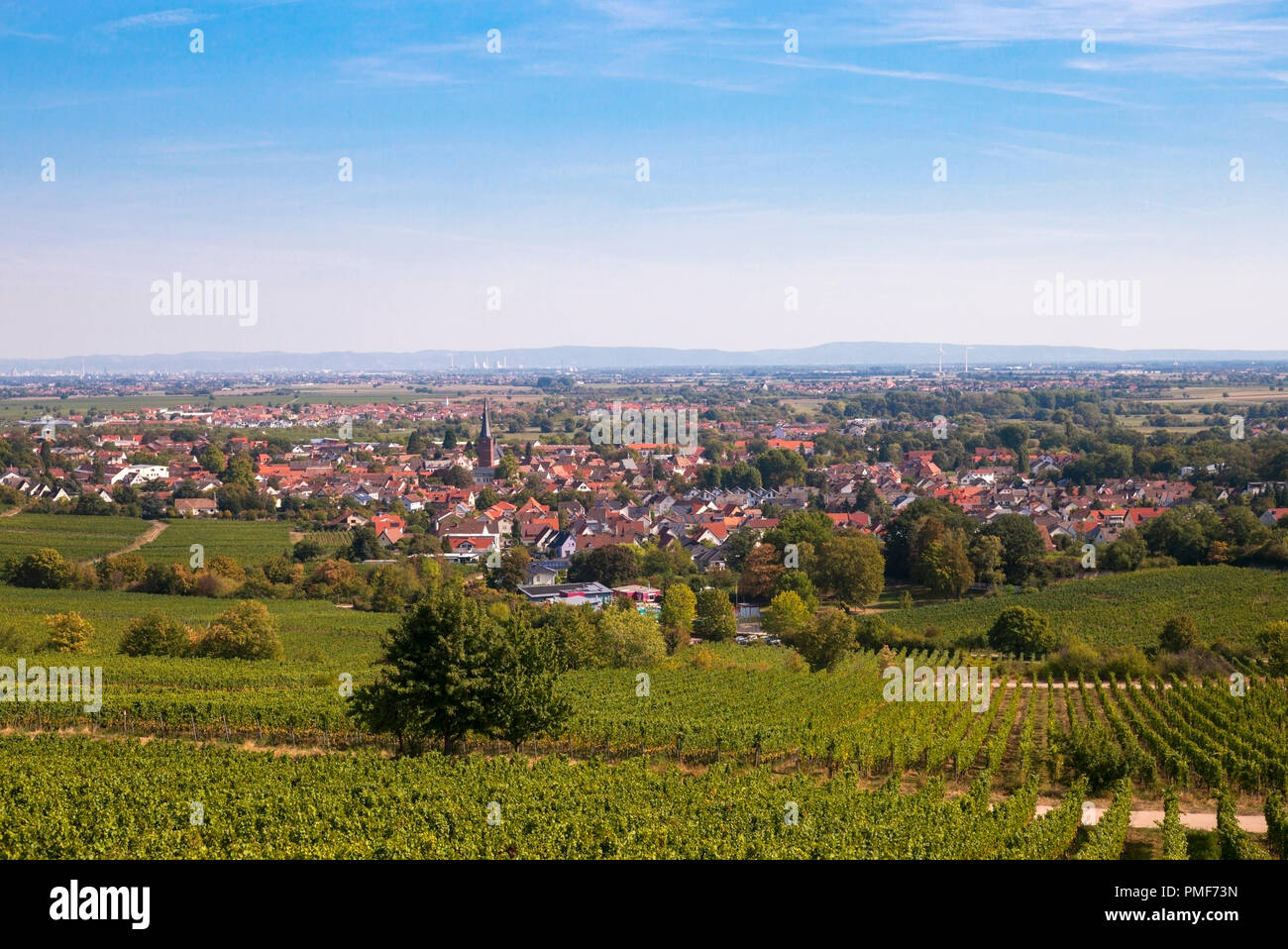 Europe germany europe rhineland palatinate deidesheim hi-res stock ...