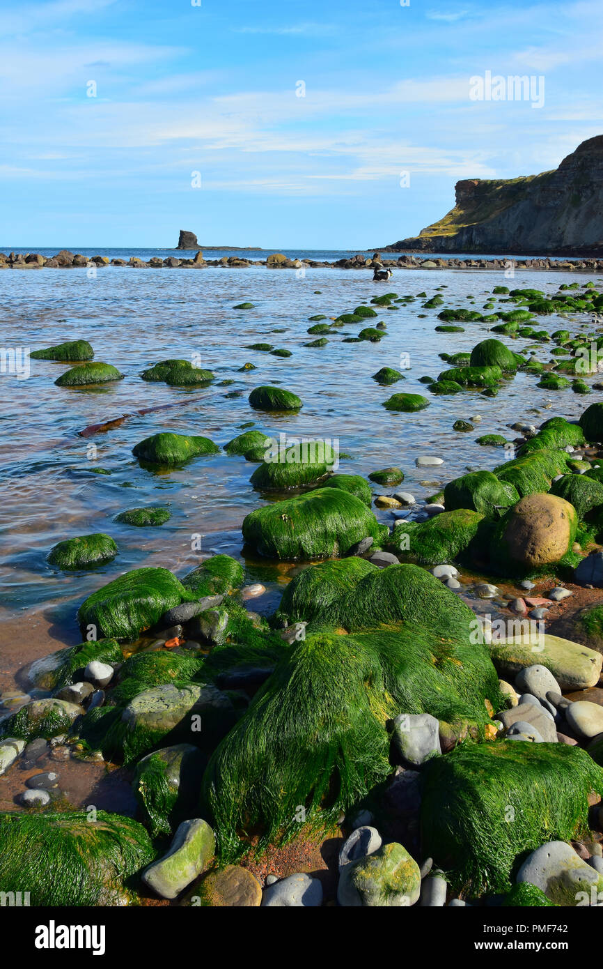 Saltwick Bay, North Yorkshire Moors, England UK Stock Photo - Alamy