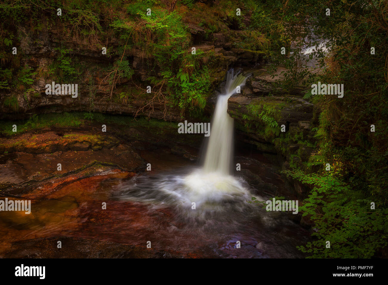Clun forest hi-res stock photography and images - Alamy