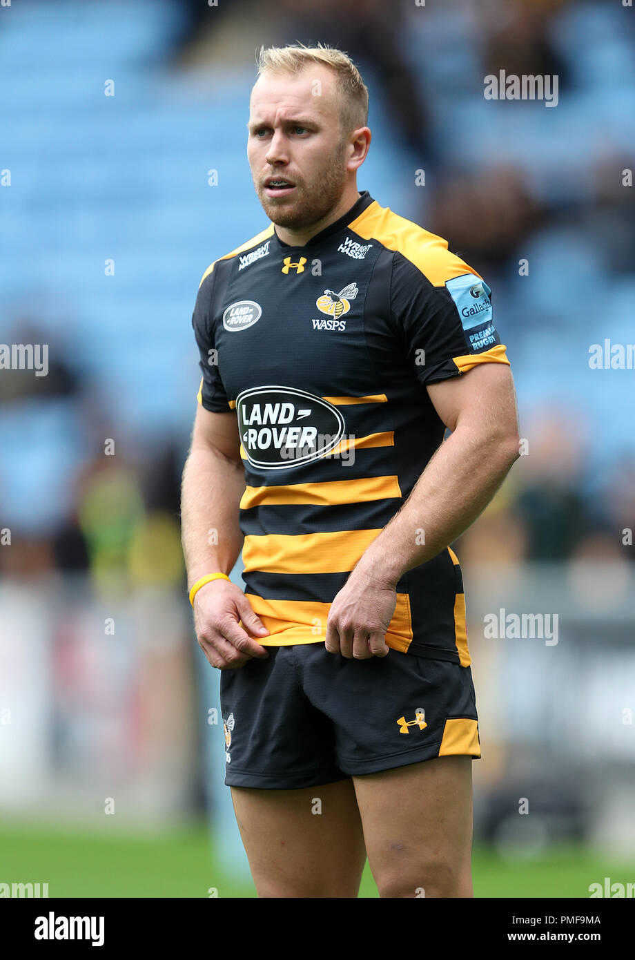 Wasps' Dan Robson Stock Photo - Alamy