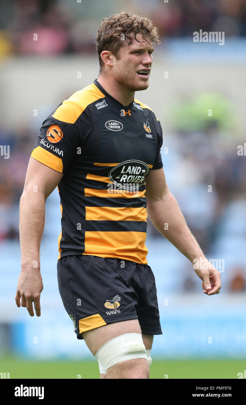 Wasps' Will Rowlands Stock Photo - Alamy