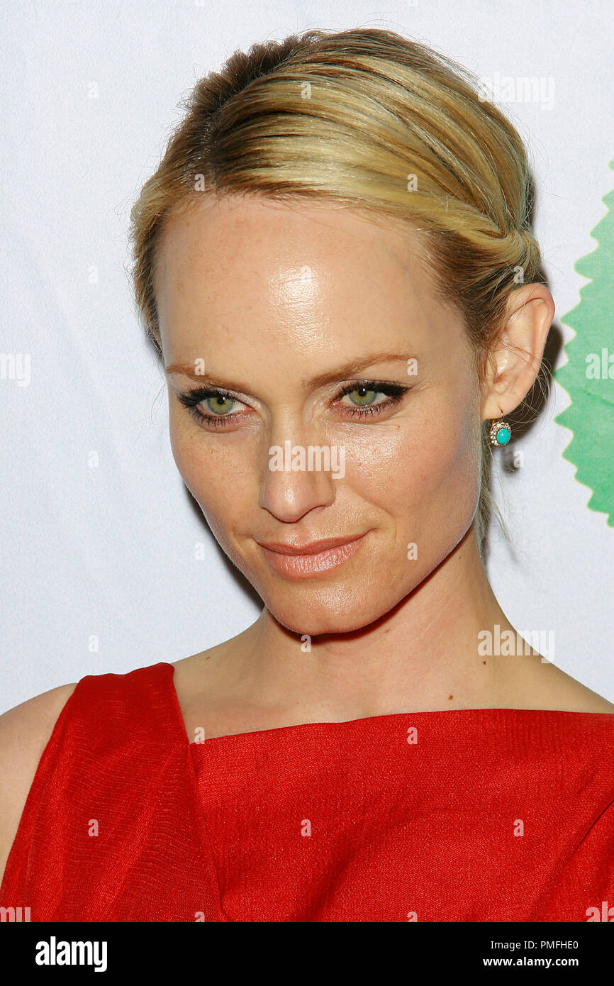 Amber Valetta at the 20th Anniversary Celebration of NRDC - Arrivals ...