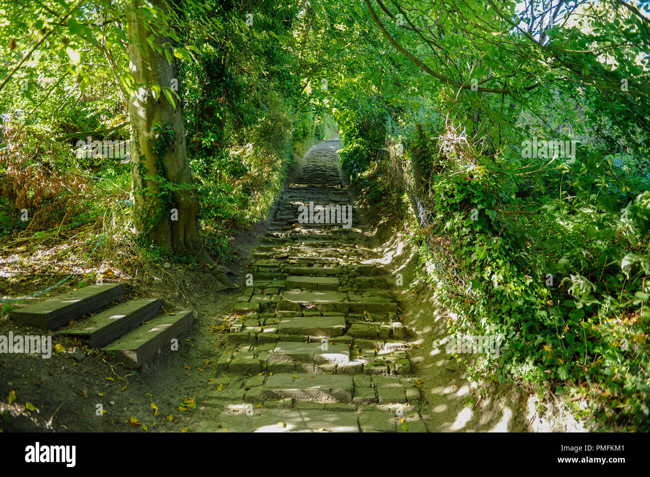 Steps up and down a slope of a coombe towards St James Church, Bratton ...