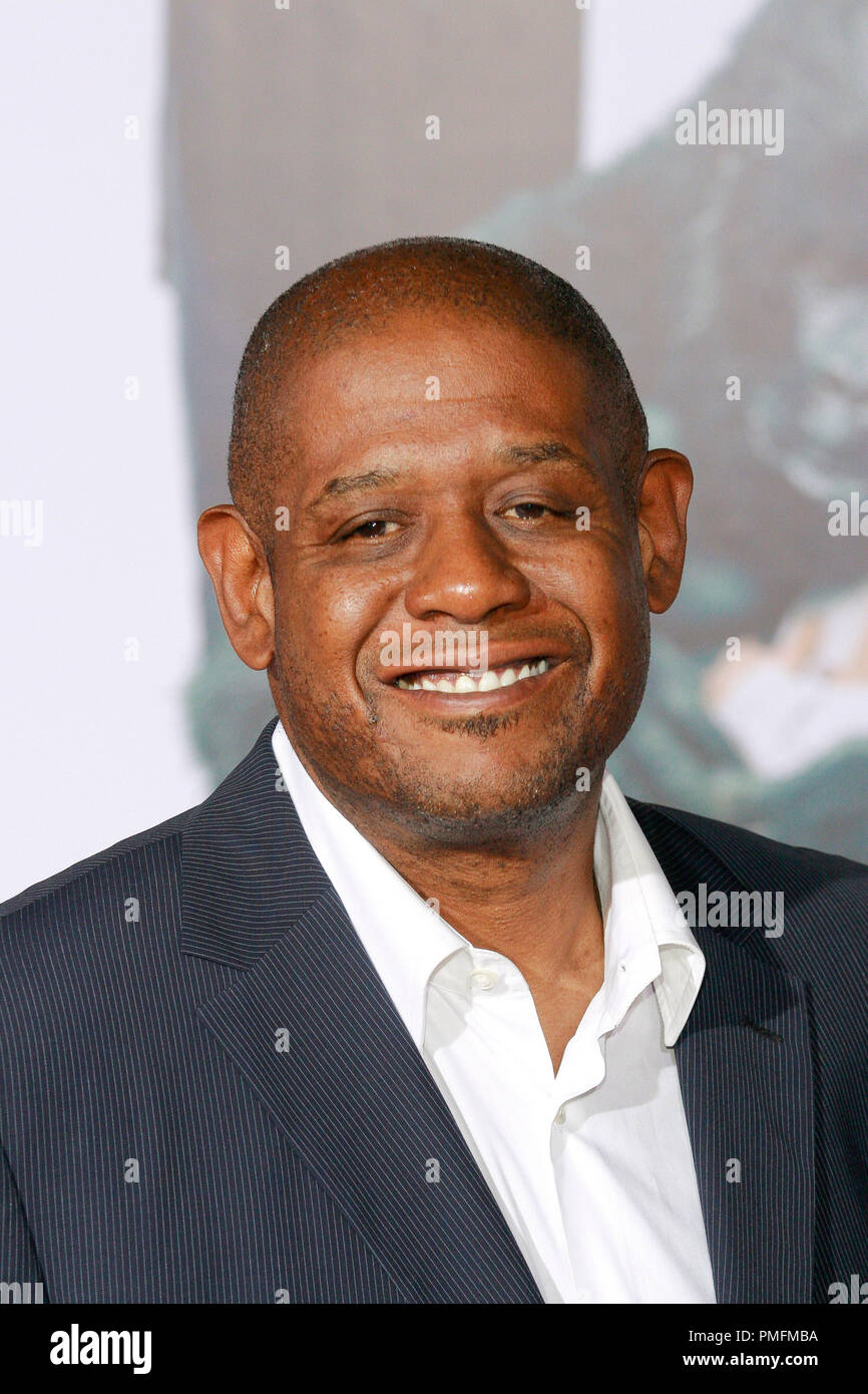 Forest Whitaker at the Premiere of Walt Disney Pictures' "Old Dogs ...
