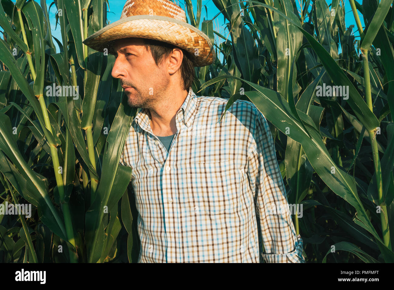 Think plan do hi-res stock photography and images - Alamy