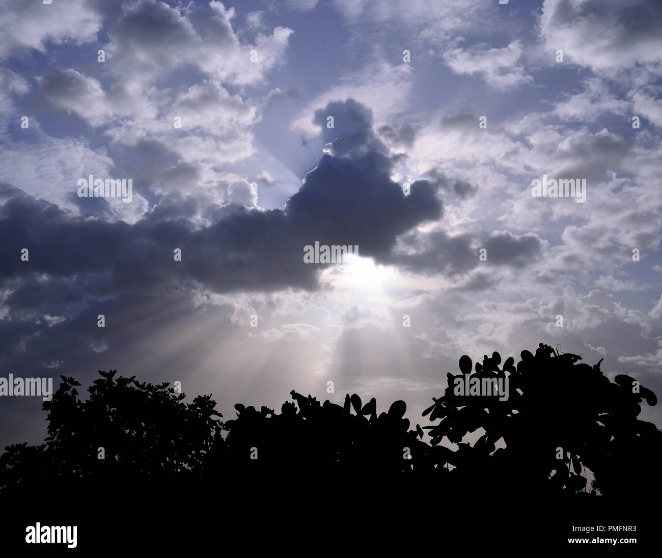 Beautiful dawn, vibrant sky with sun rays among clouds and backlit ...