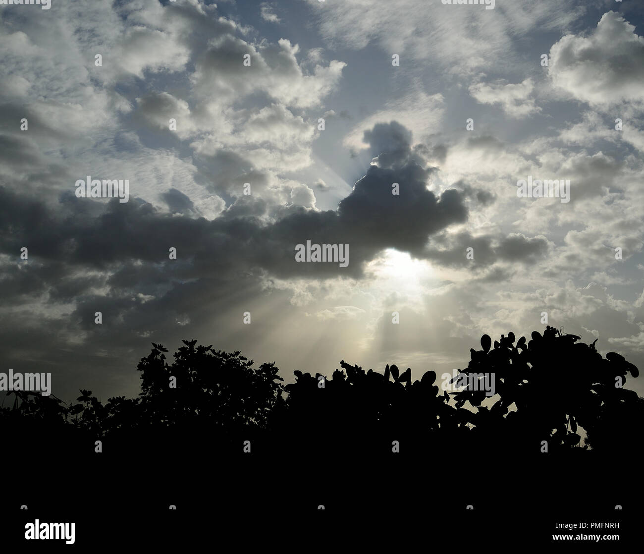 Spectacular dawn, bright sky with scattered clouds, sun rays and ...