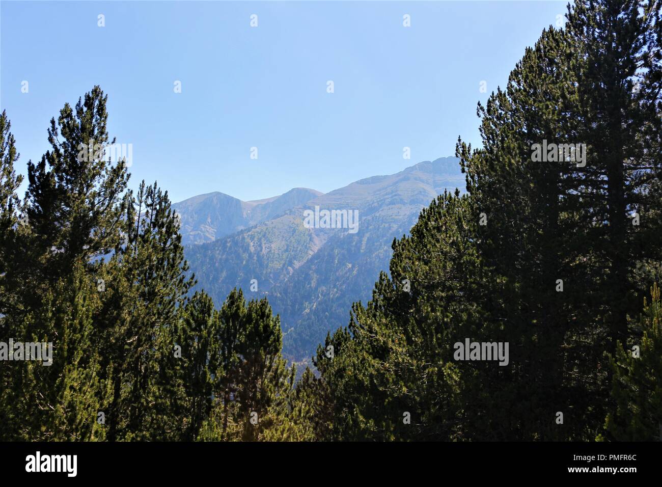 The beautiful nature in Olympus mountain Stock Photo - Alamy