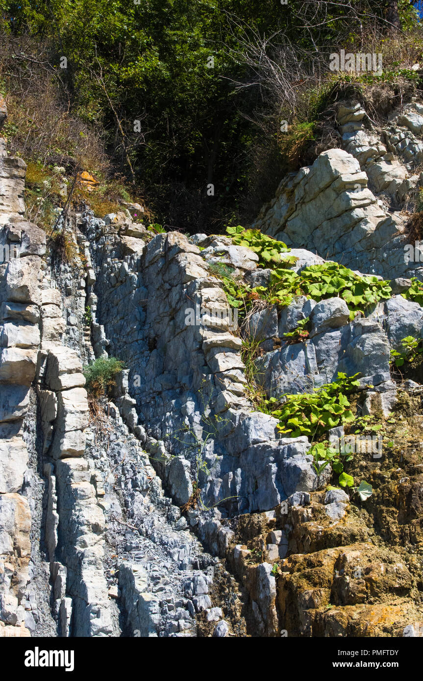 rock formations and stones of the sea coast, weathered and smoothed by ...