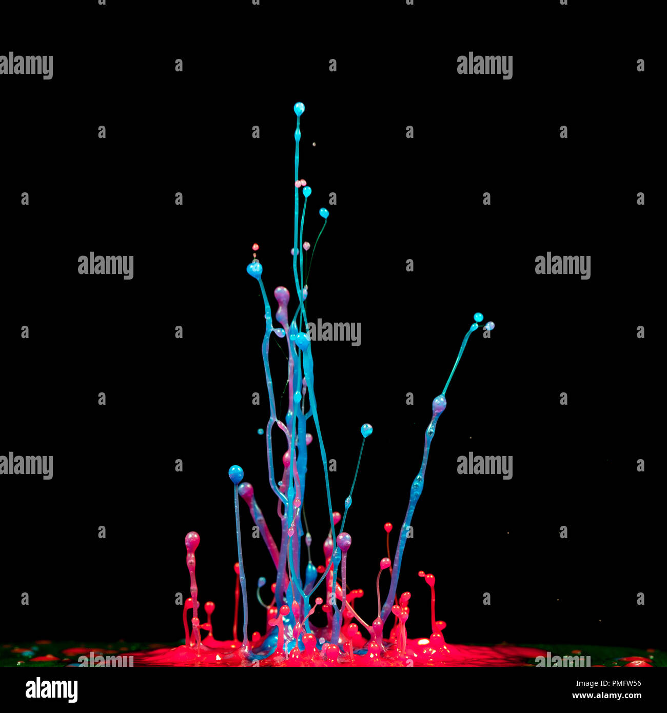 Explosion of splashes and bursts of color fluid paint ink on black ...