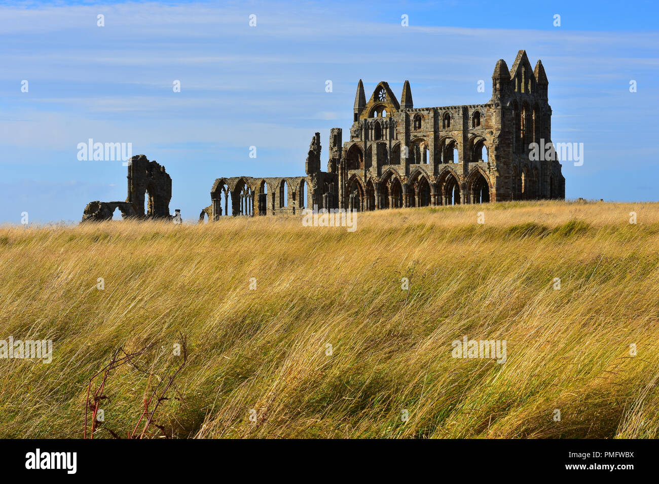Whitby Abbey, North Yorkshire Moors, England UK Stock Photo - Alamy