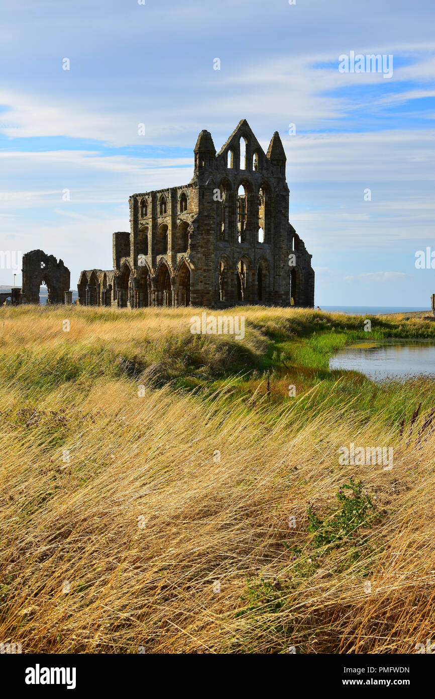 Whitby Abbey, North Yorkshire Moors, England UK Stock Photo - Alamy