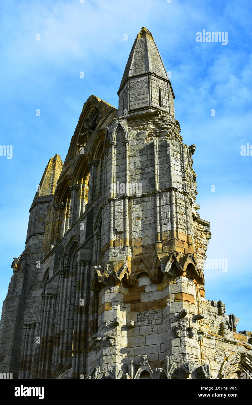 Whitby Abbey, North Yorkshire Moors, England UK Stock Photo - Alamy