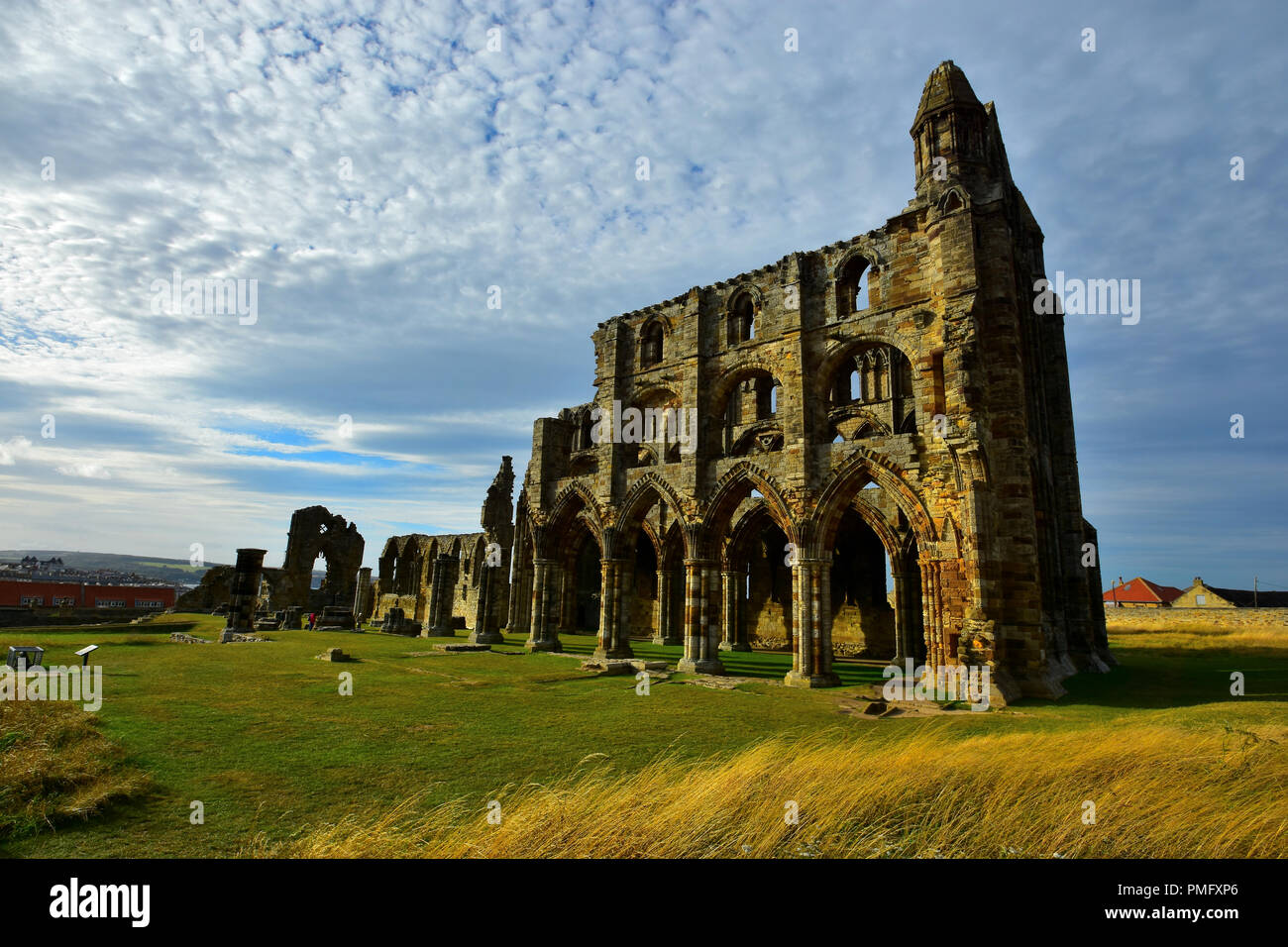 Whitby Abbey, North Yorkshire Moors, England UK Stock Photo - Alamy