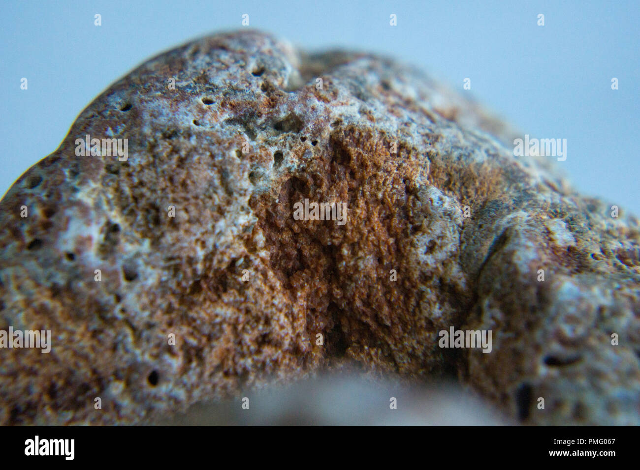 Red sea stone Stock Photo - Alamy