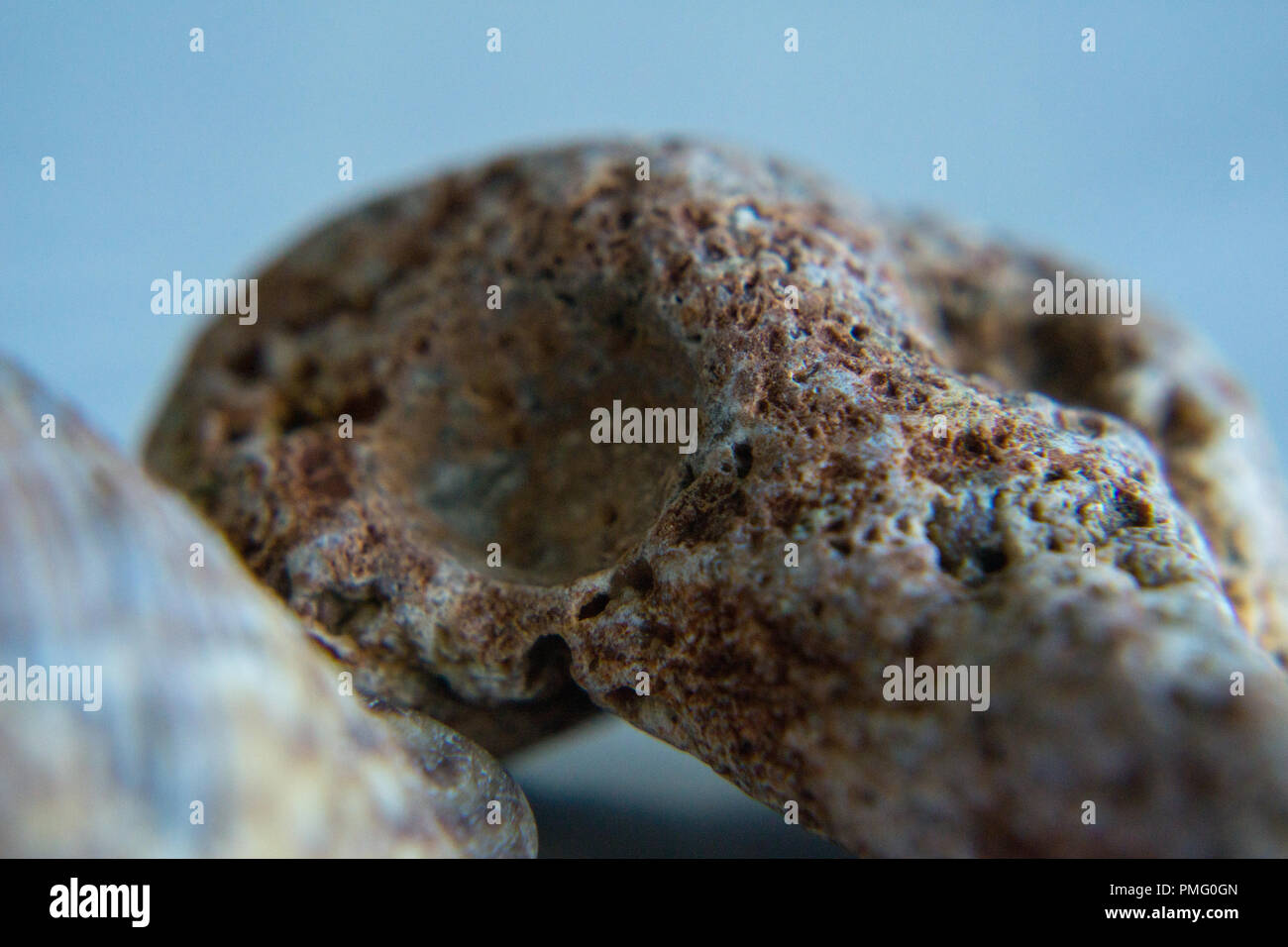 Red sea stone Stock Photo - Alamy