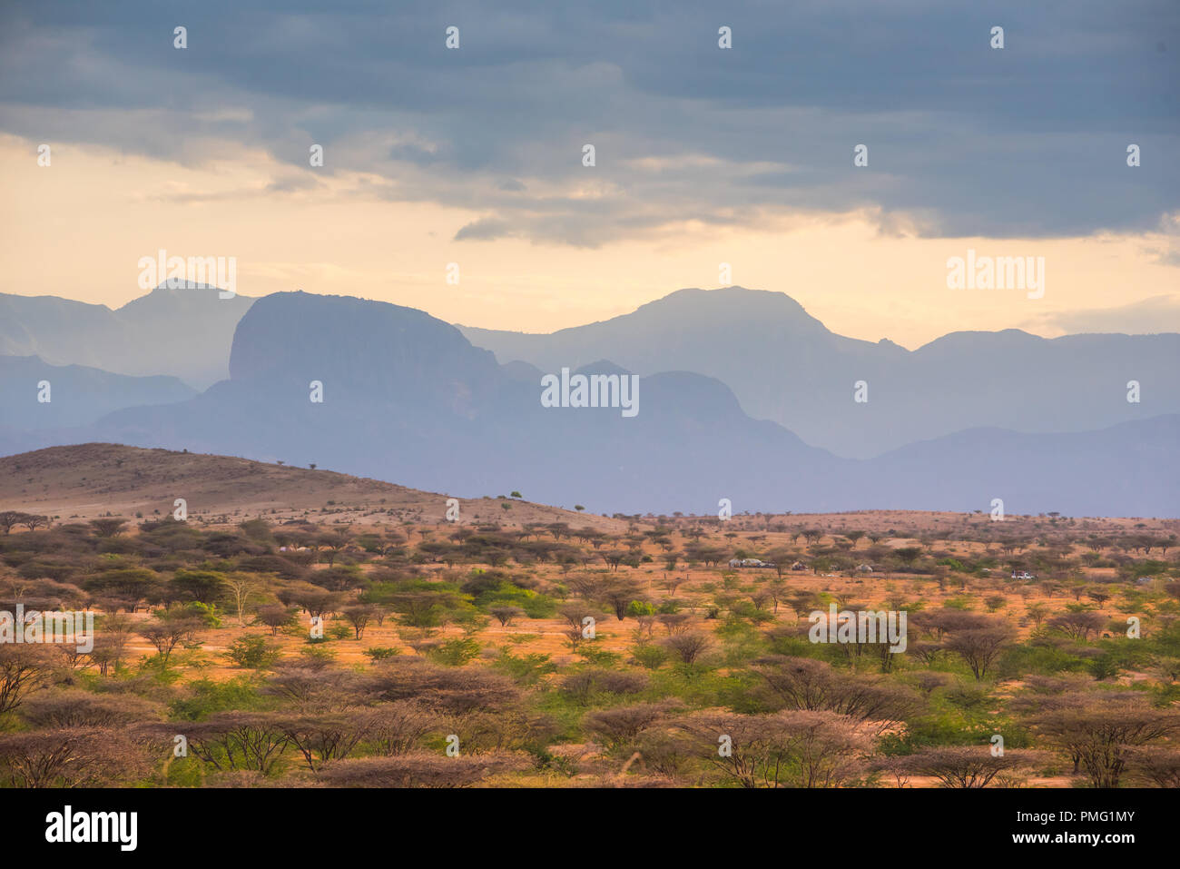 Desert shrub-filled plains in evening light against the backdrop of a ...