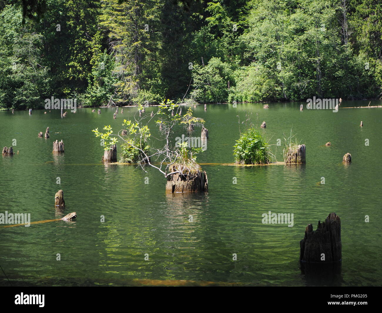 The red lake lacu rosu in romania Stock Photo - Alamy