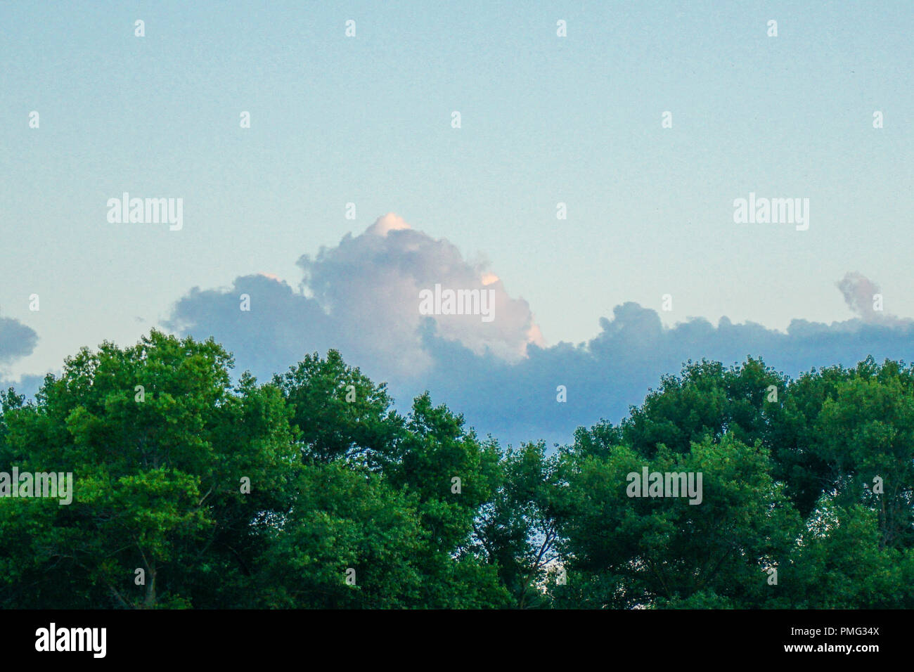 Tree line in front of some clouds Stock Photo - Alamy