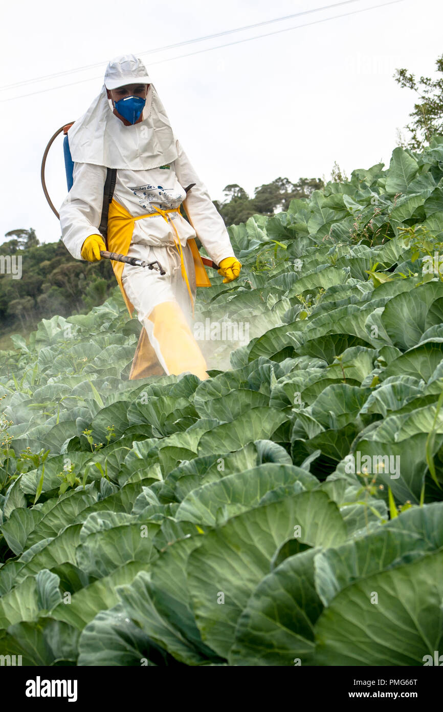Capao Bonito, Sao Paulo, Brazil, December 18, 2009. Farmer with manual ...