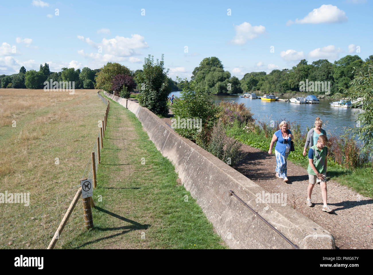 Petersham riverside hi-res stock photography and images - Alamy