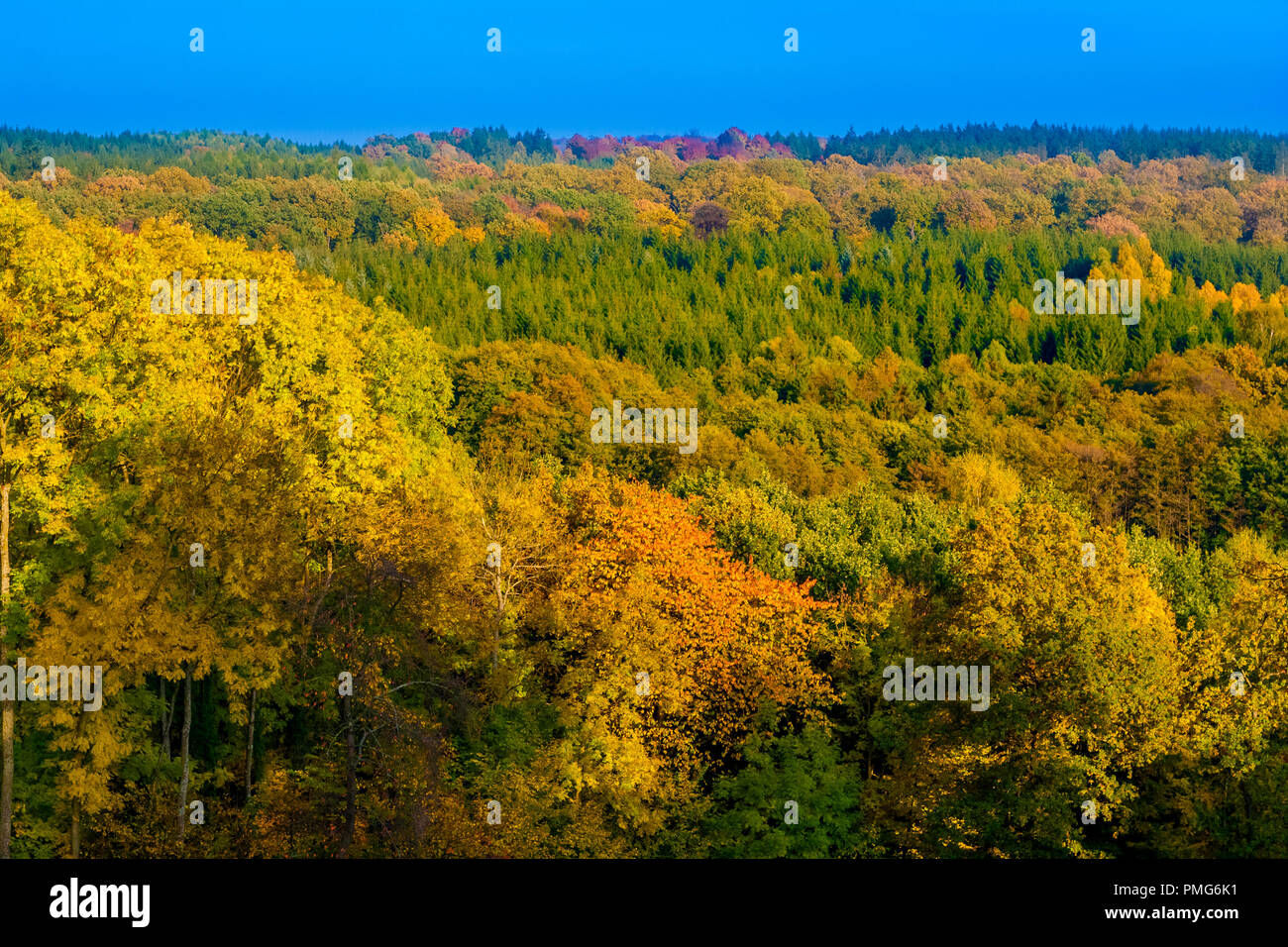 Colourful trees hi-res stock photography and images - Alamy
