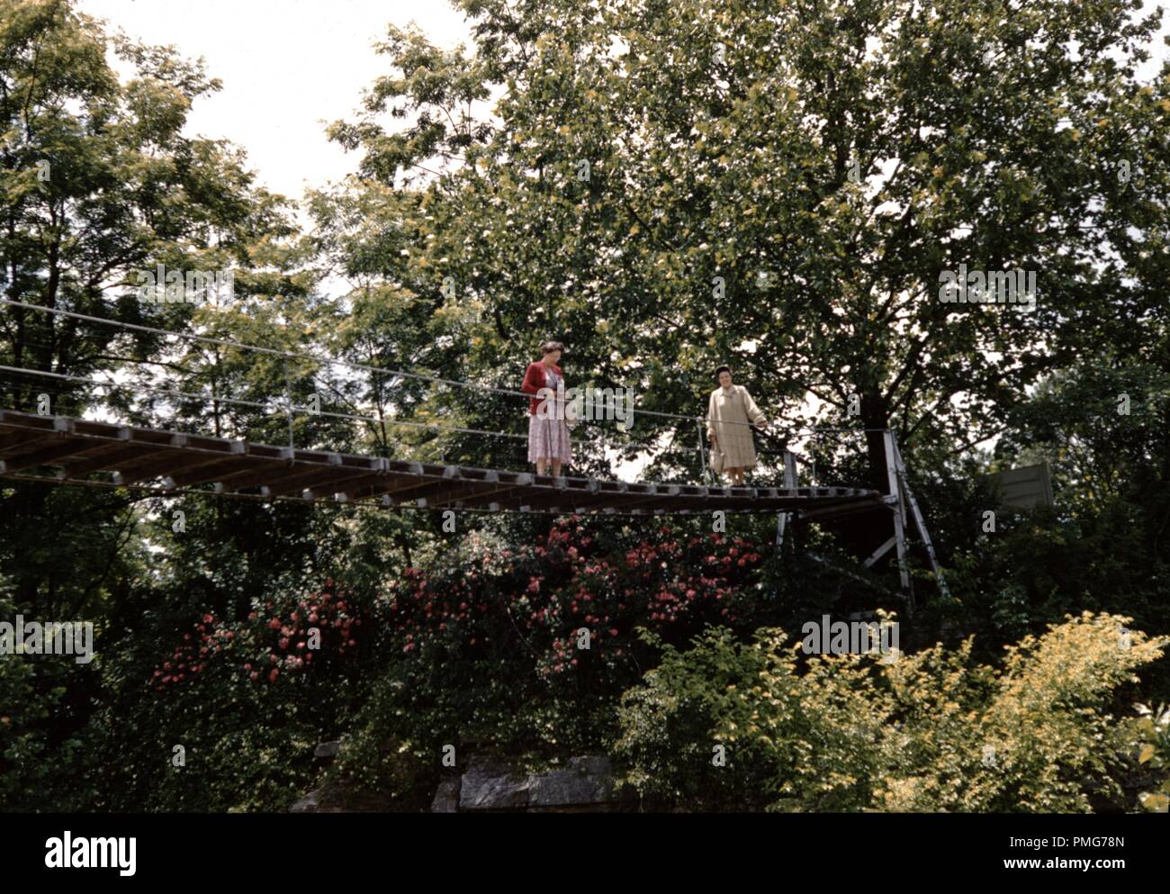 Cross in forest 1900s hi-res stock photography and images - Alamy