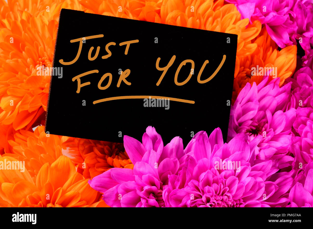 Orange and pink flower aster, and black card with words Just for you ...