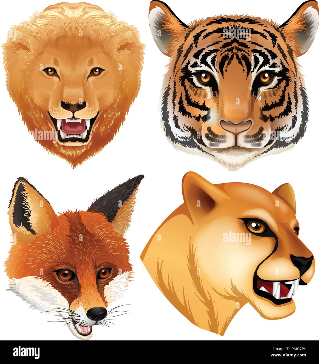 A set of wild animal head illustration Stock Vector Image & Art - Alamy