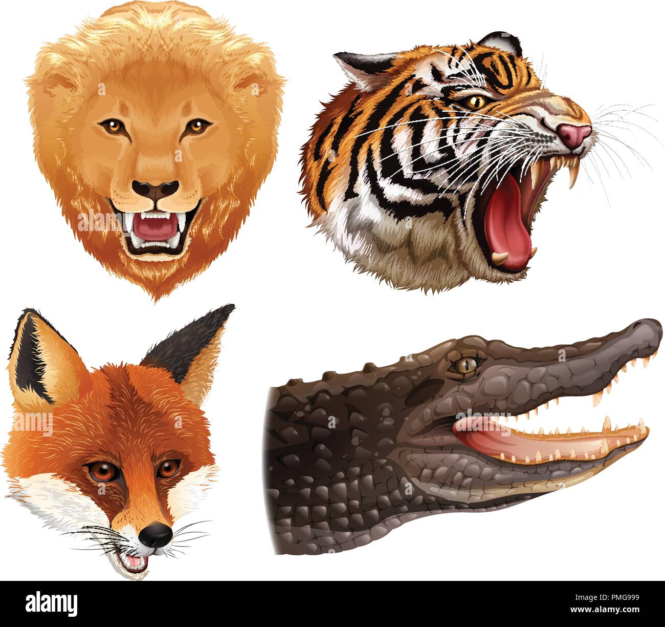 Set of animals heads illustration Stock Vector Image & Art - Alamy