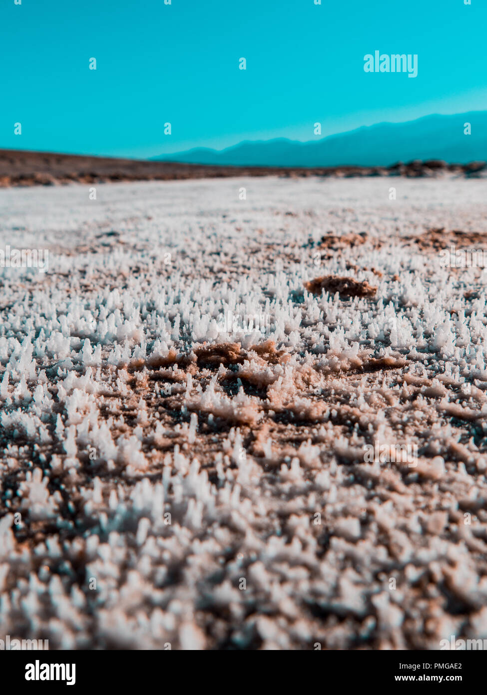 Salt is heaping up from the soil on a sunny day in the hart of dead ...