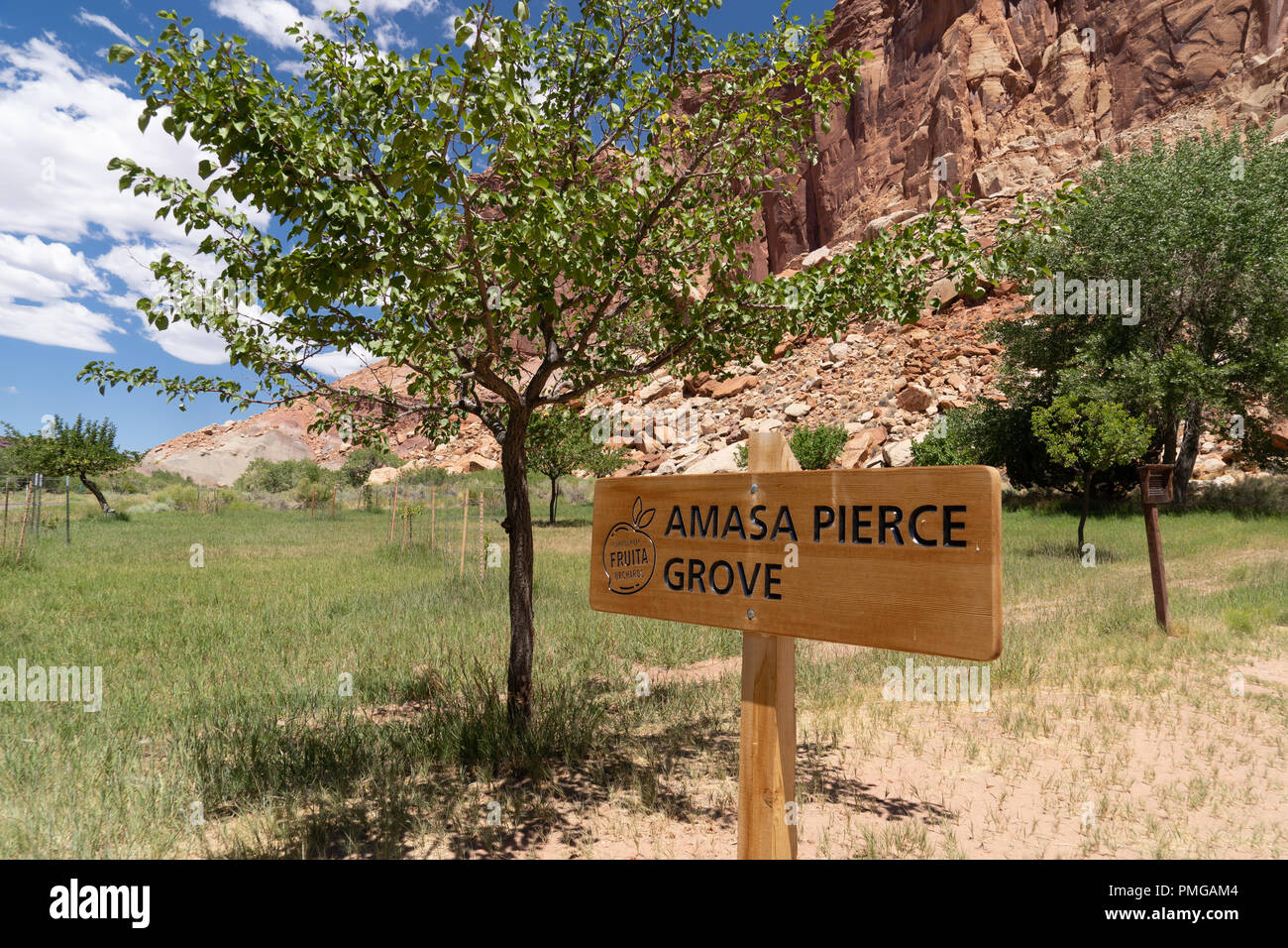Amasa Pierce Grove orchard in Fruita Utah in Capitol Reef National Park ...