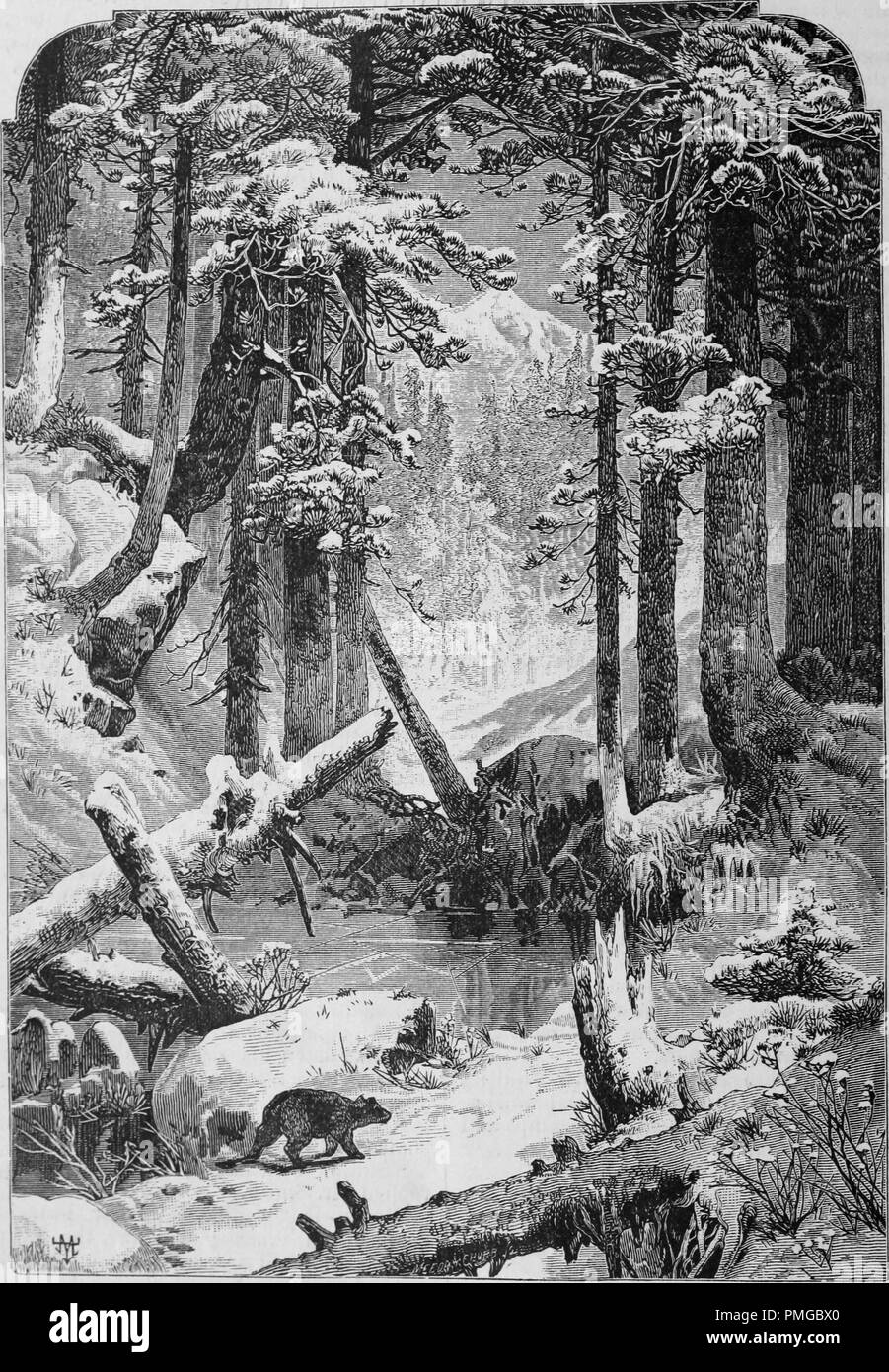 Sierra nevada mountains 1800s hi-res stock photography and images - Alamy