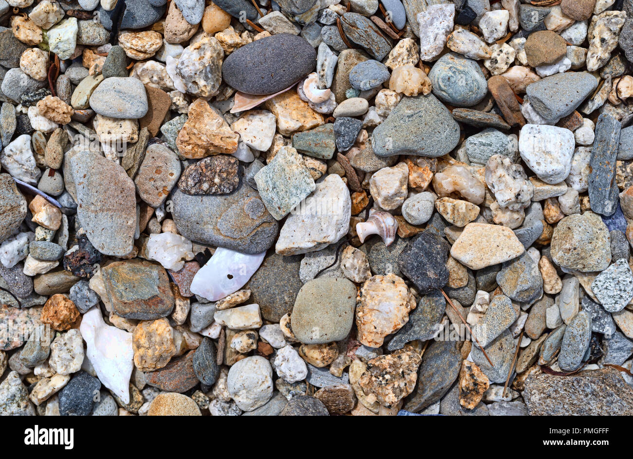 Broken seashells hi-res stock photography and images - Alamy