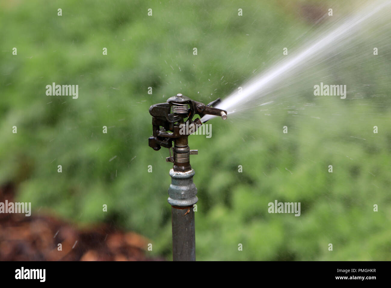 A professional irrigation system pours your plants individually and ...