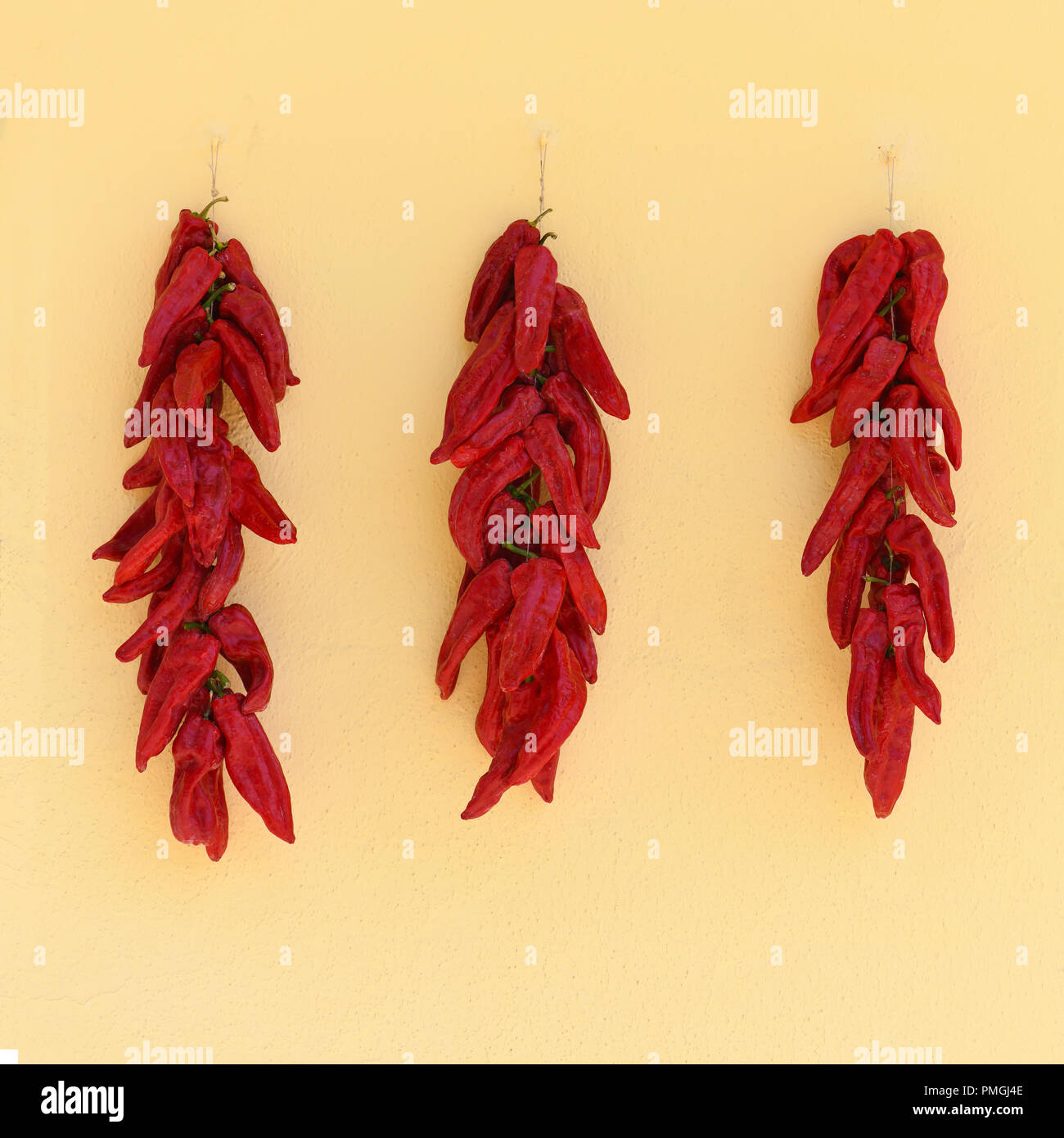 spanish culture of hanging peppers to dry, Red and colorful, bright ...