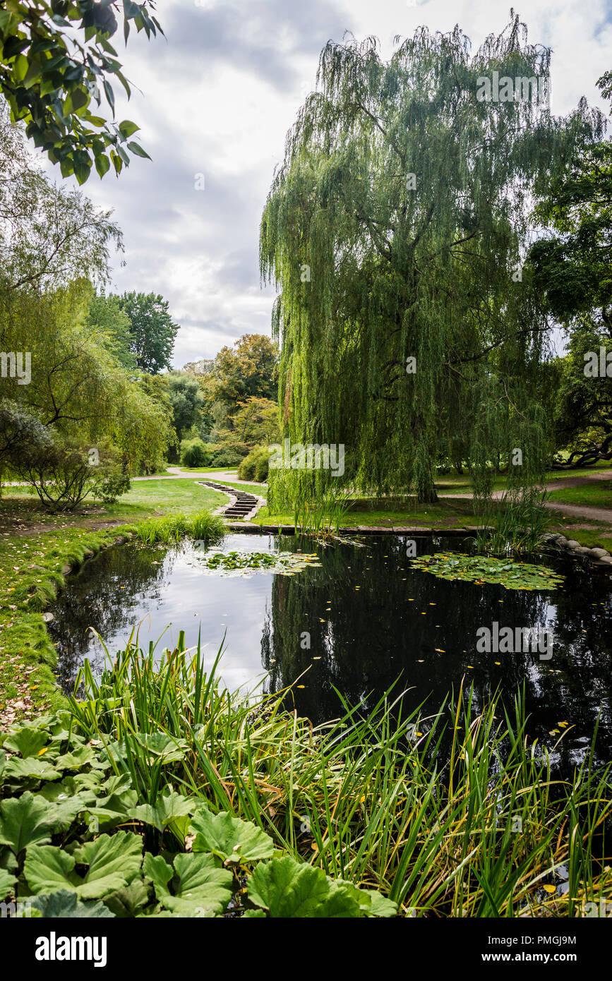 University botanical garden oslo hi-res stock photography and images ...