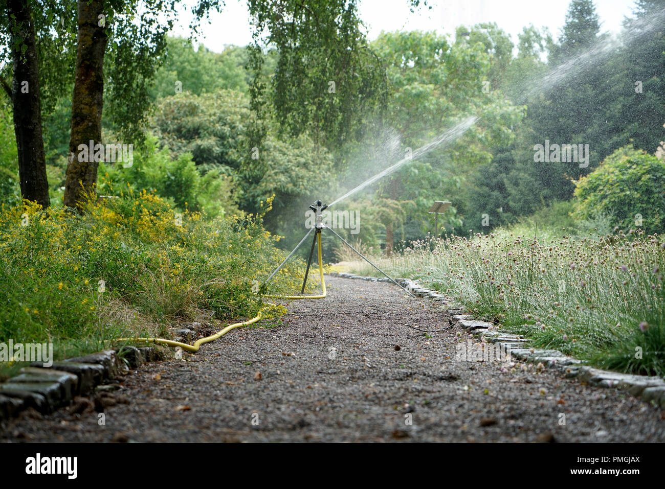A professional irrigation system pours your plants individually and ...